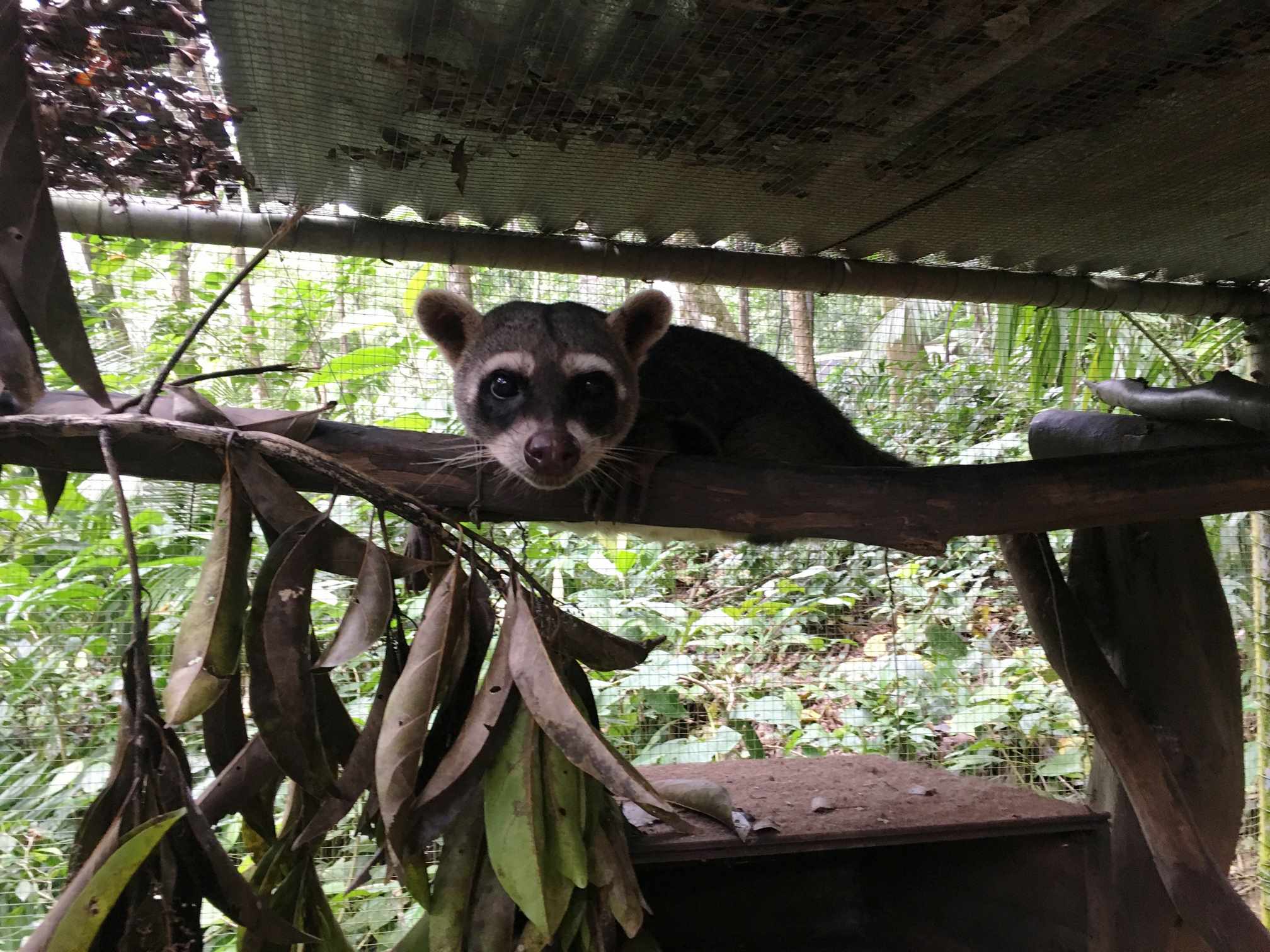 May 2020 Newsletter – Esperanza Verde