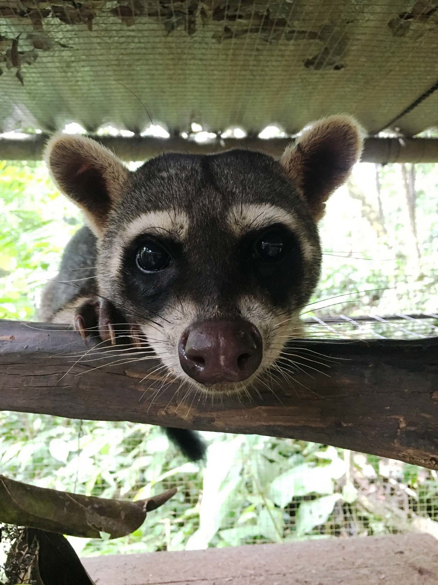 May 2020 Newsletter – Esperanza Verde