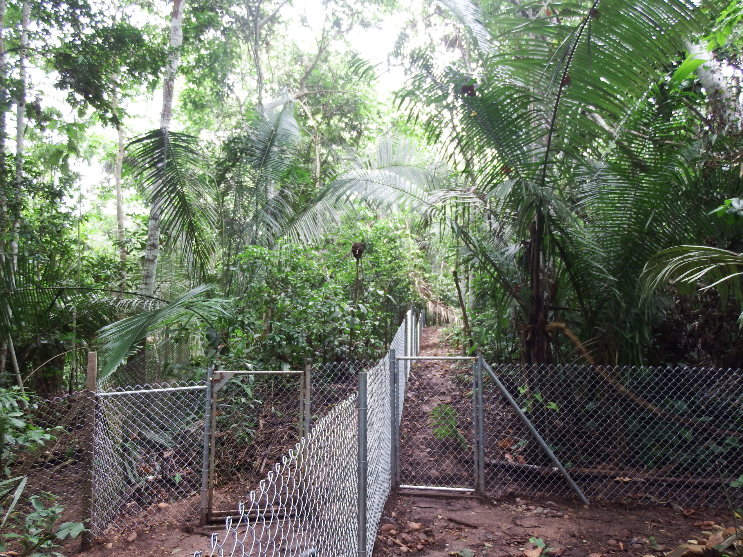 November 2020 Newsletter | Esperanza Verde